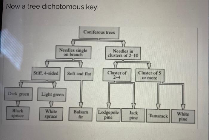 Solved I've already asked this question, but I'm not | Chegg.com