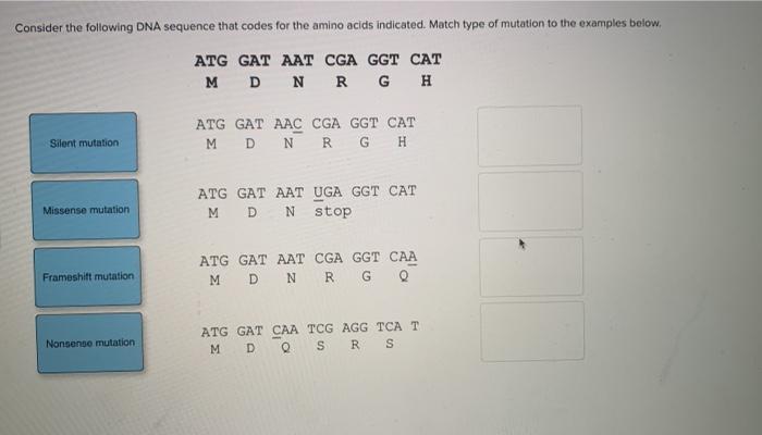 Solved Consider the following DNA sequence that codes for | Chegg.com