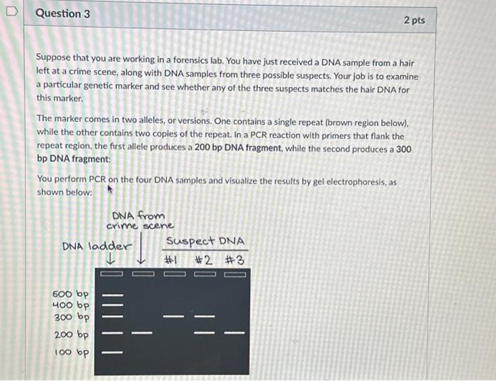 Suppose that you are working in a forensics lab. You | Chegg.com