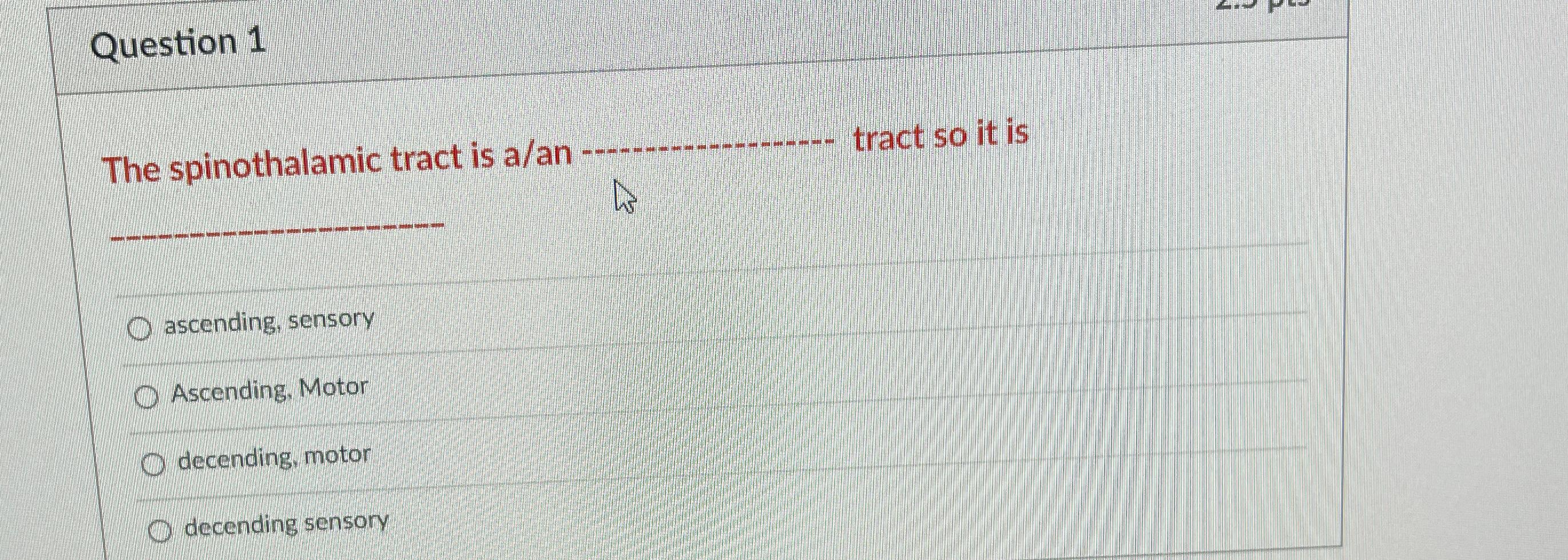 Solved Question 1The spinothalamic tract is a/an tract so it | Chegg.com