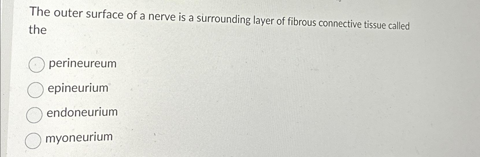 Solved The outer surface of a nerve is a surrounding layer | Chegg.com