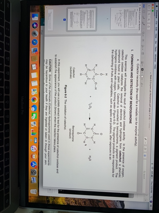 Week 6 Enzyme Lab Worksheets.pdf (page 4 of 12) | Chegg.com