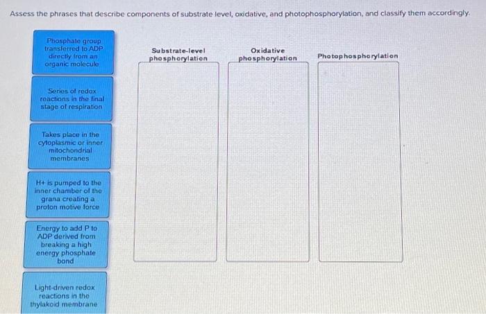 Solved Assess the phrases that describe components of | Chegg.com