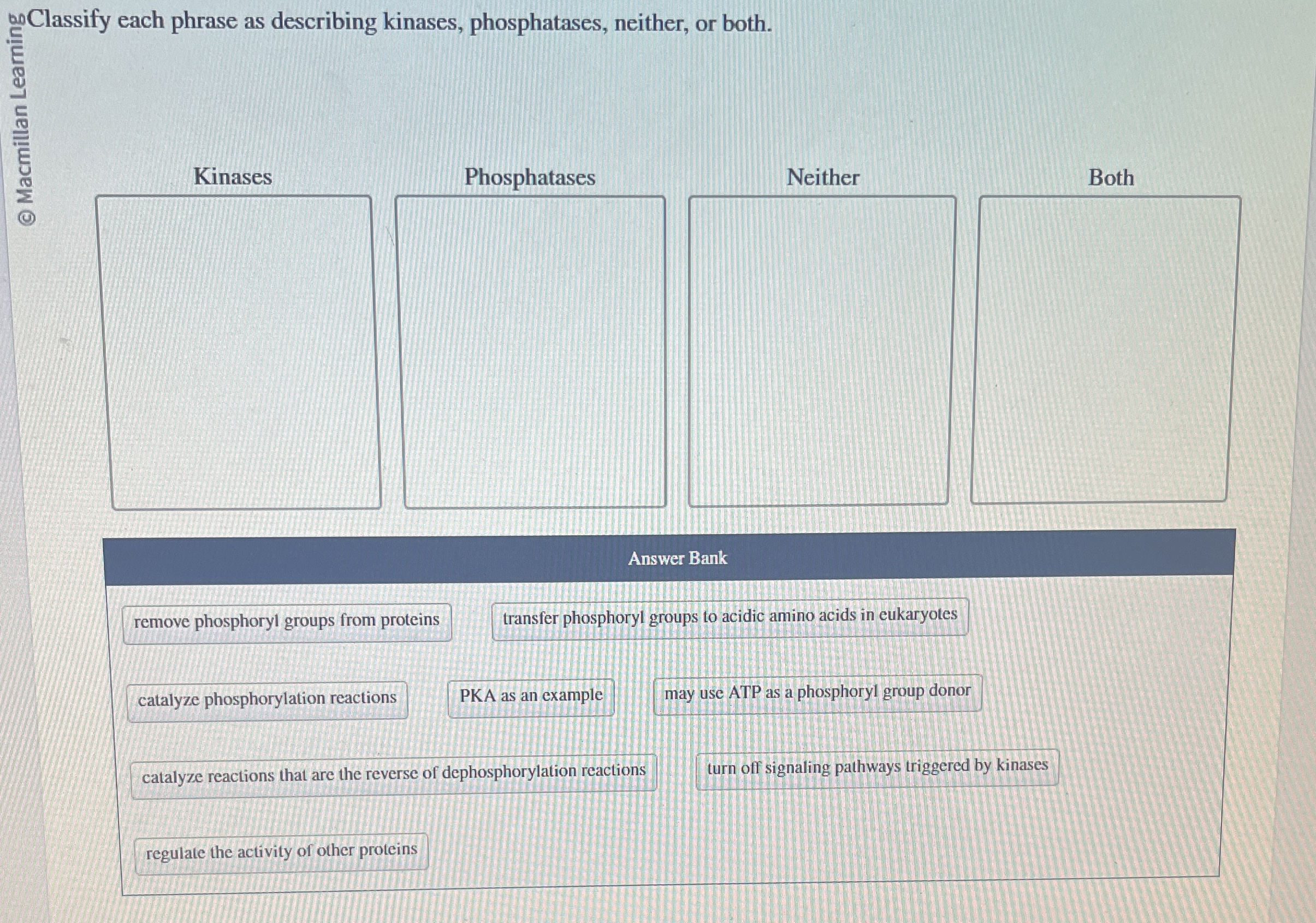 Solved ens classify each phrase as describing kinases, | Chegg.com