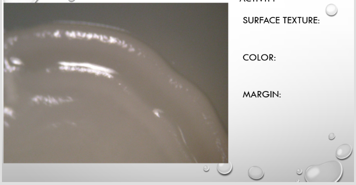 Describe the form, surface texture and color of the | Chegg.com
