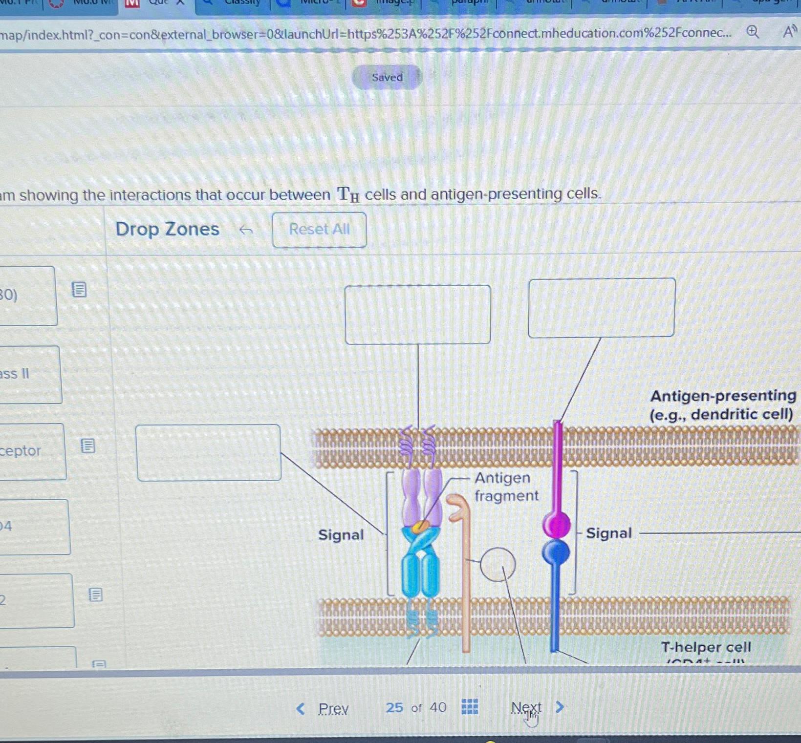 Solved Im showing the interactions that occur between TH | Chegg.com