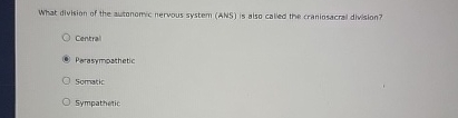 Solved What division of the autonomic nerwous system (ANS) | Chegg.com
