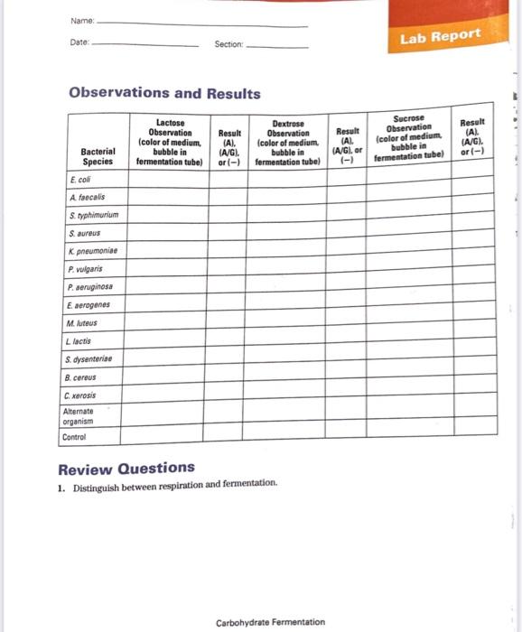 Solved Observations and Results Review Questions 1. | Chegg.com