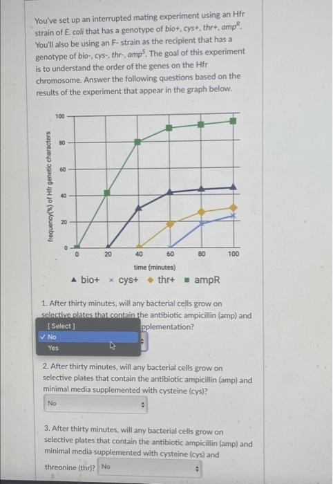 You've set up an interrupted mating experiment using | Chegg.com