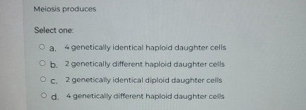 Solved Meiosis producesSelect one:a. 4 ﻿genetically | Chegg.com