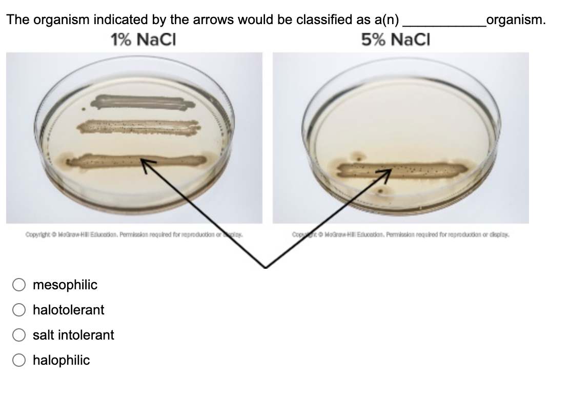 Solved The organism indicated by the arrows would be | Chegg.com