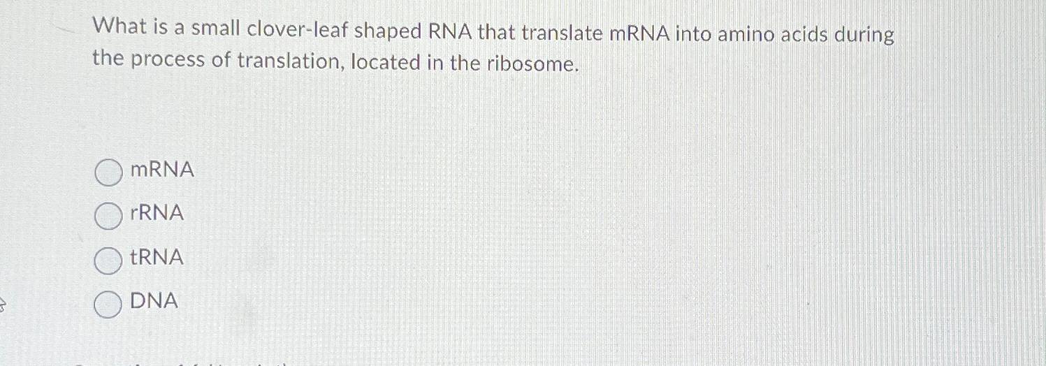 Solved What is a small clover-leaf shaped RNA that translate | Chegg.com