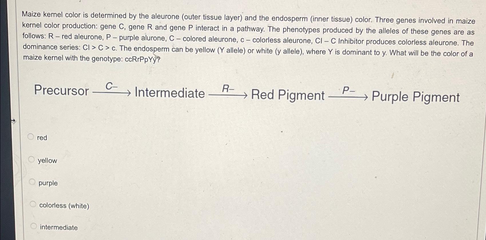 Solved Maize kernel color is determined by the aleurone | Chegg.com