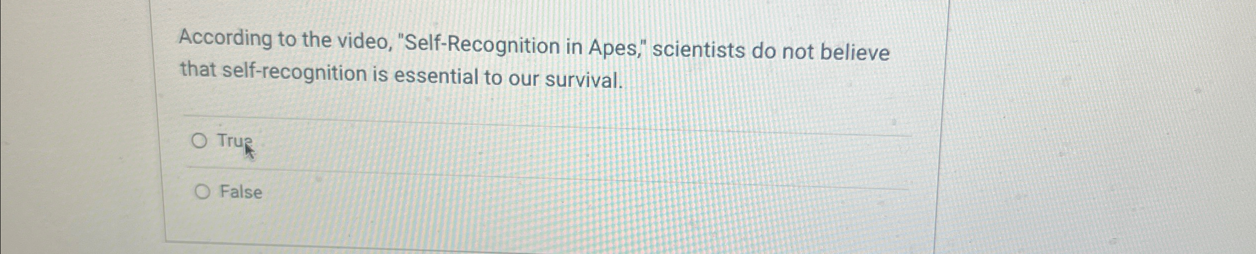 Solved According To The Video Self Recognition In Apes