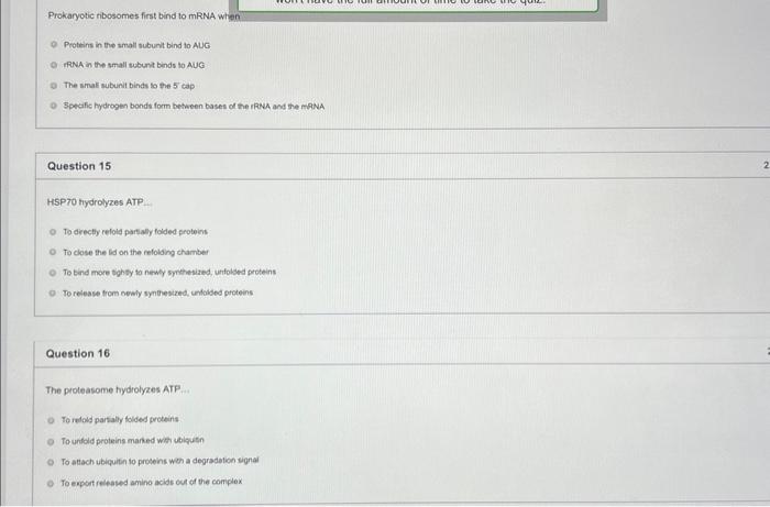 Solved Proteins in the small subunit bind to AUG rawA in the | Chegg.com