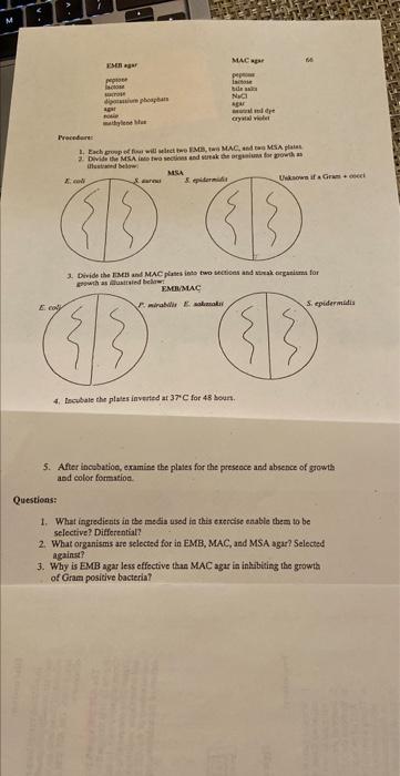 what is the answer for MSA, EMB and MAC of all the | Chegg.com