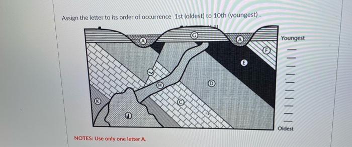 Solved Assign the letter to its order of occurrence 1st | Chegg.com