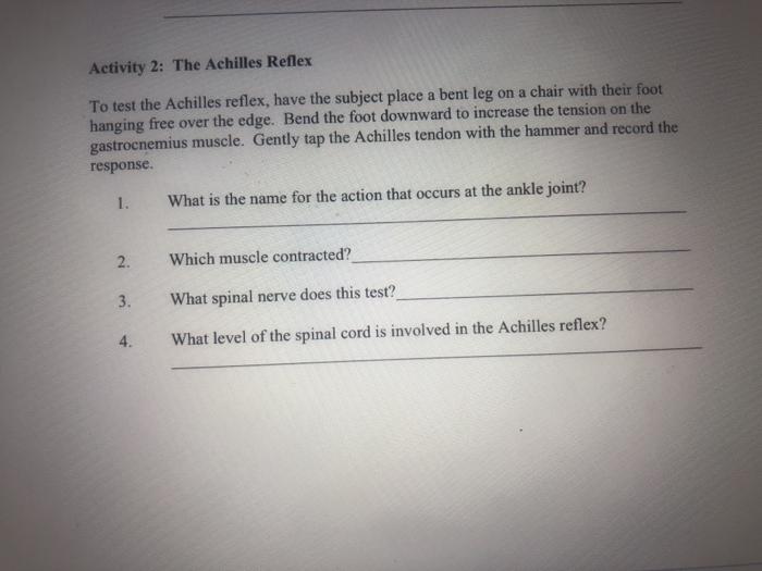 Solved Activity 2: The Achilles Reflex To test the Achilles | Chegg.com