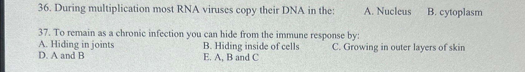Solved During multiplication most RNA viruses copy their DNA | Chegg.com