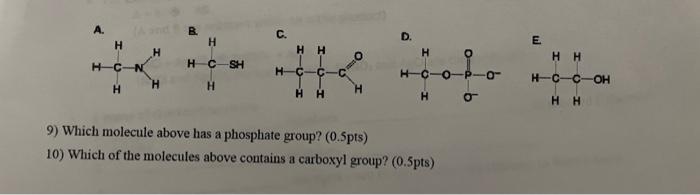 Solved 9) Which molecule above has a phosphate group? | Chegg.com