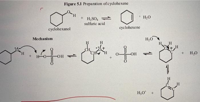 Solved Figure 5.1 Preparation of cyclohexene م H + H20 + | Chegg.com