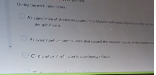 Solved During the micturition reflex.A) ﻿stimulation of | Chegg.com