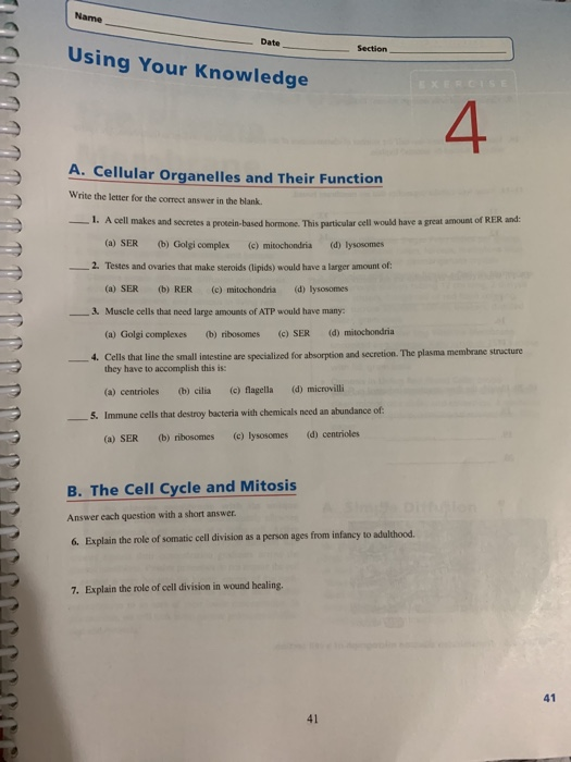 Solved Name Date Section Using Your knowledge UUUUUUU A. | Chegg.com