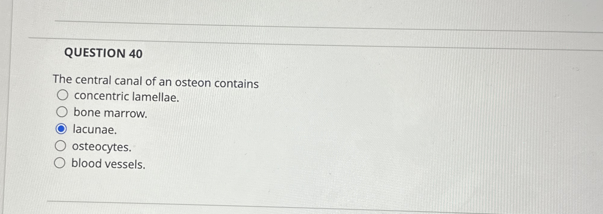Solved QUESTION 40The central canal of an osteon | Chegg.com Solved QUESTION 40The central canal of an osteon | Chegg.com