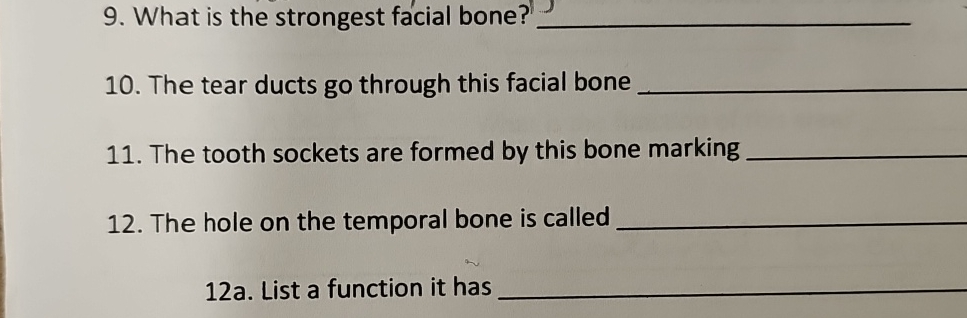 Solved What is the strongest facial bone?The tear ducts go | Chegg.com