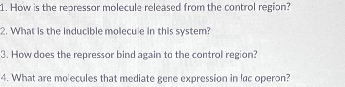 Solved 1. How is the repressor molecule released from the | Chegg.com