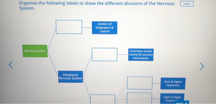 Solved Organise the following labels to show the different | Chegg.com