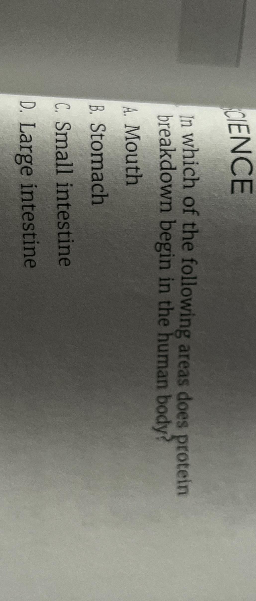 Solved ClENCEIn which of the following areas does protein | Chegg.com