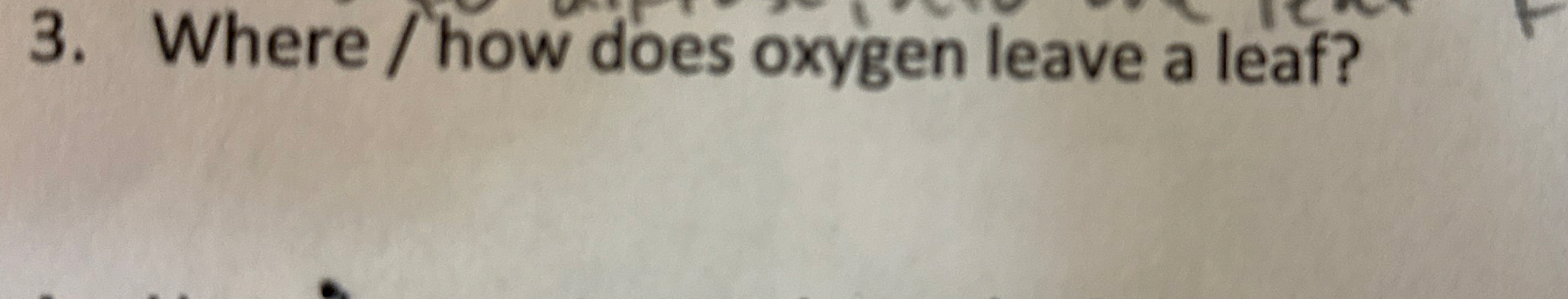 Solved Where / ﻿how does oxygen leave a leaf? | Chegg.com