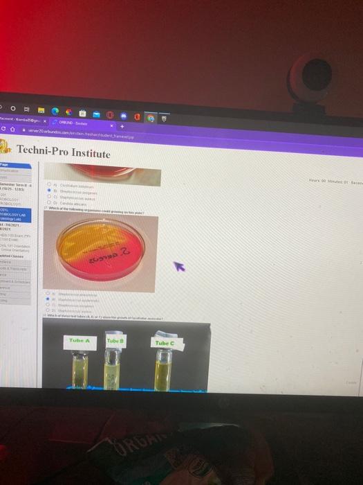 Techni-Pro Institute hni-Pro Institute Techni-Pro | Chegg.com