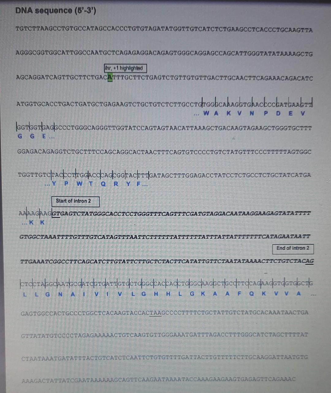 Eukaryotic consensus sequences functioning in | Chegg.com