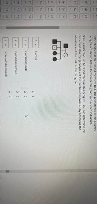 Solved Color-blindness is an X-linked recessive trait. The | Chegg.com