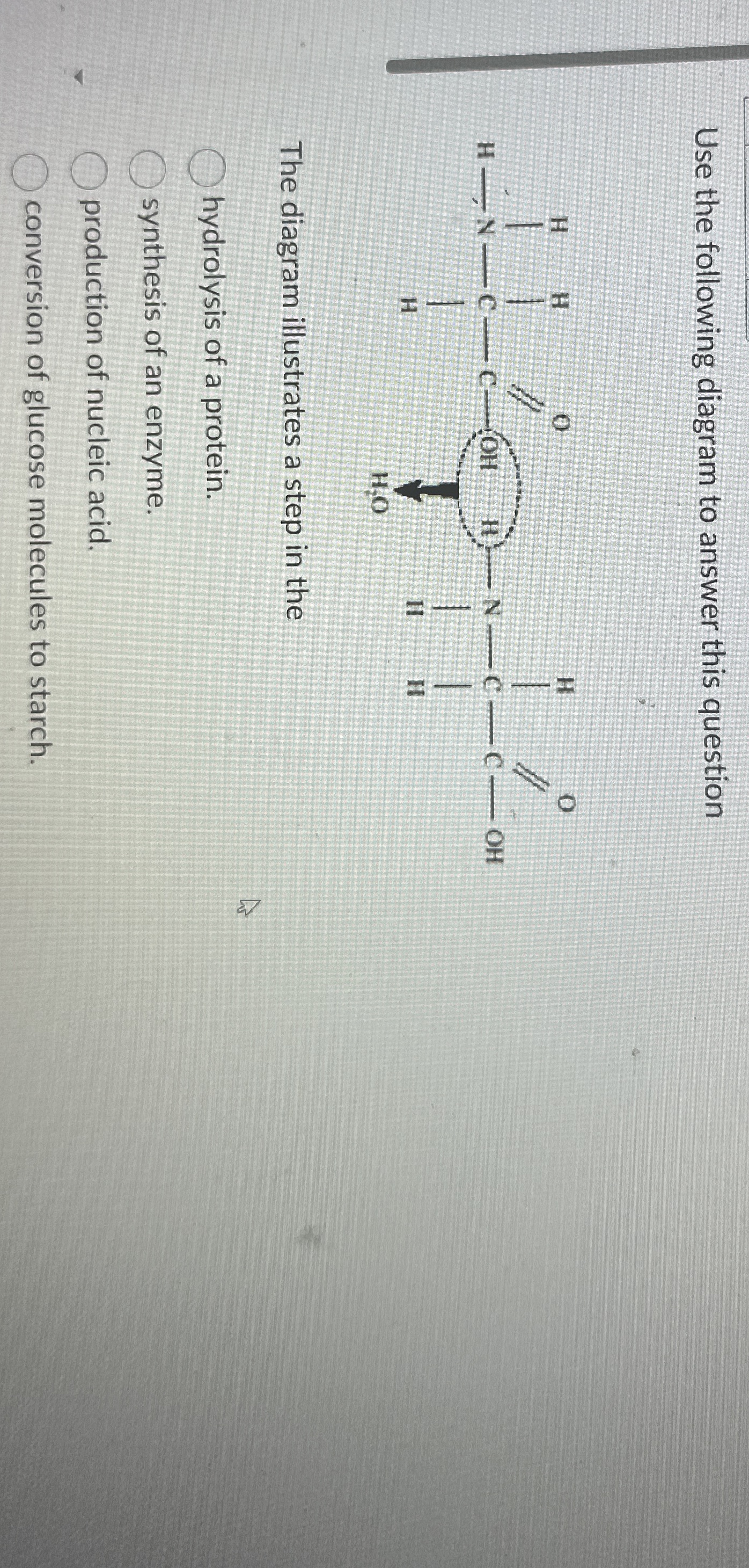 Solved Use the following diagram to answer this questionThe | Chegg.com