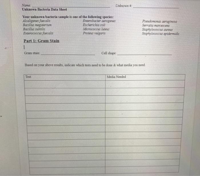 Solved Name: Unknown Bacteria Data Sheet Unknown # Your | Chegg.com