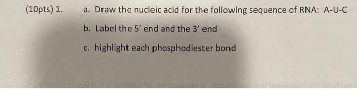 Solved a. Draw the nucleic acid for the following sequence | Chegg.com