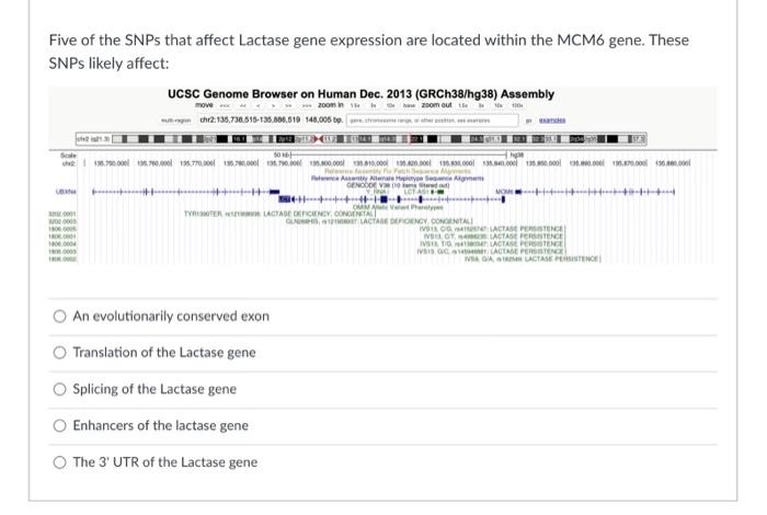 Solved Five of the SNPs that affect Lactase gene expression | Chegg.com