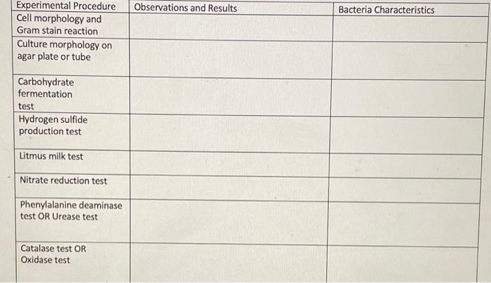 Solved I need help identifying the bacteria that is pictured | Chegg.com
