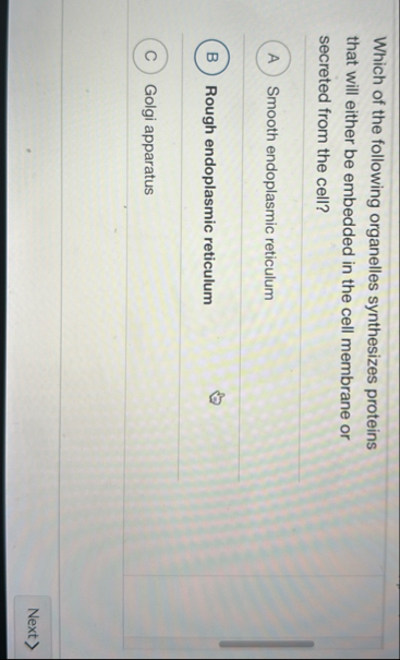 Solved Which of the following organelles synthesizes | Chegg.com