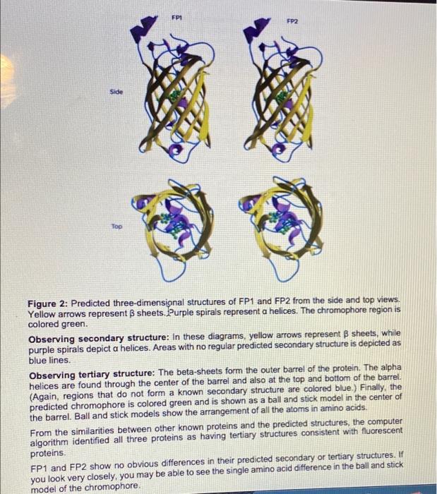 Solved FPI FP2 Side Top Figure 2: Predicted | Chegg.com
