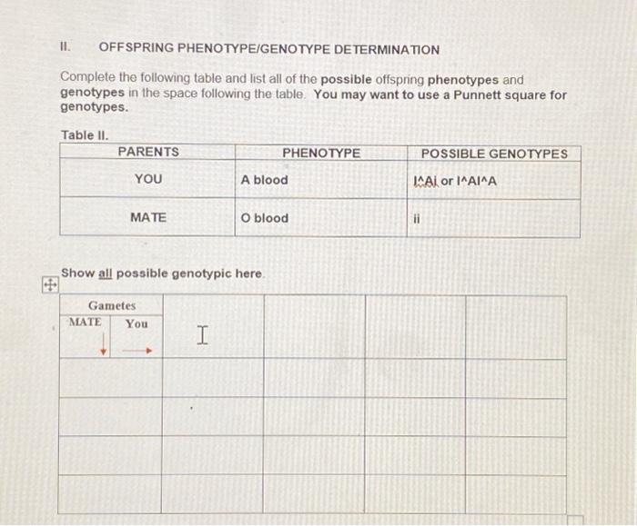 Solved II. OFFSPRING PHENOTYPE/GENOTYPE DETERMINATION | Chegg.com