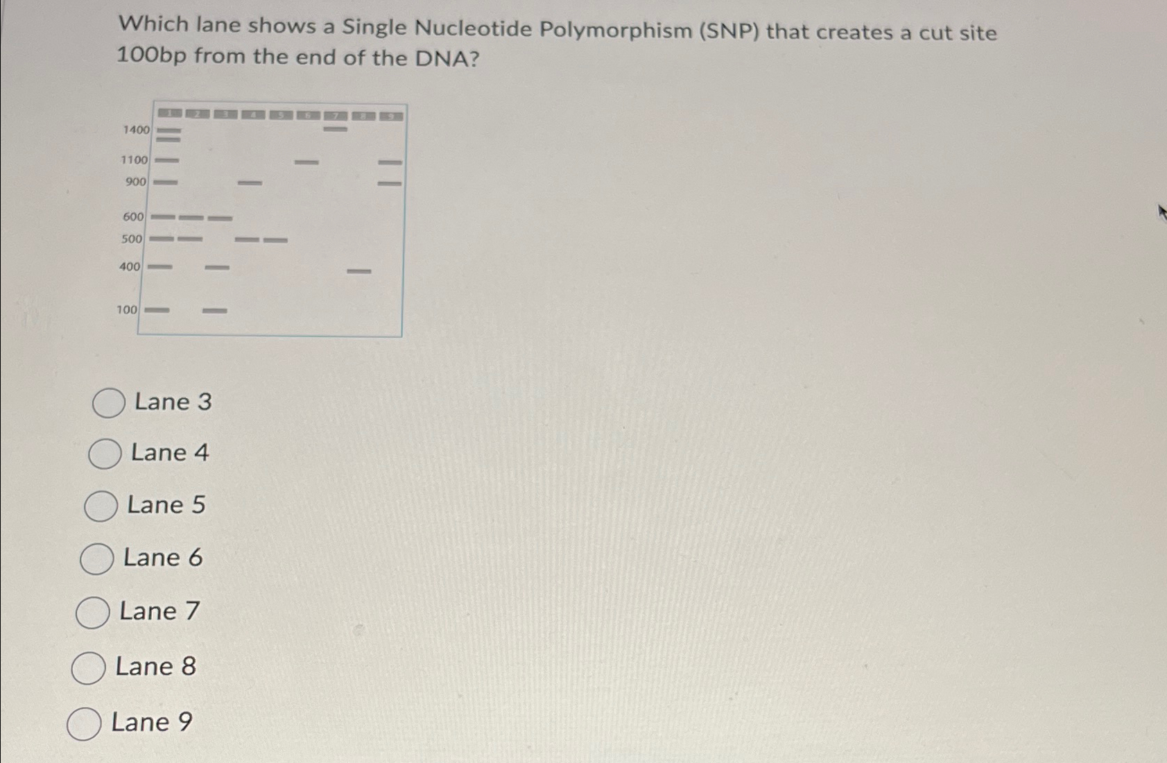 Solved Which lane shows a Single Nucleotide Polymorphism | Chegg.com