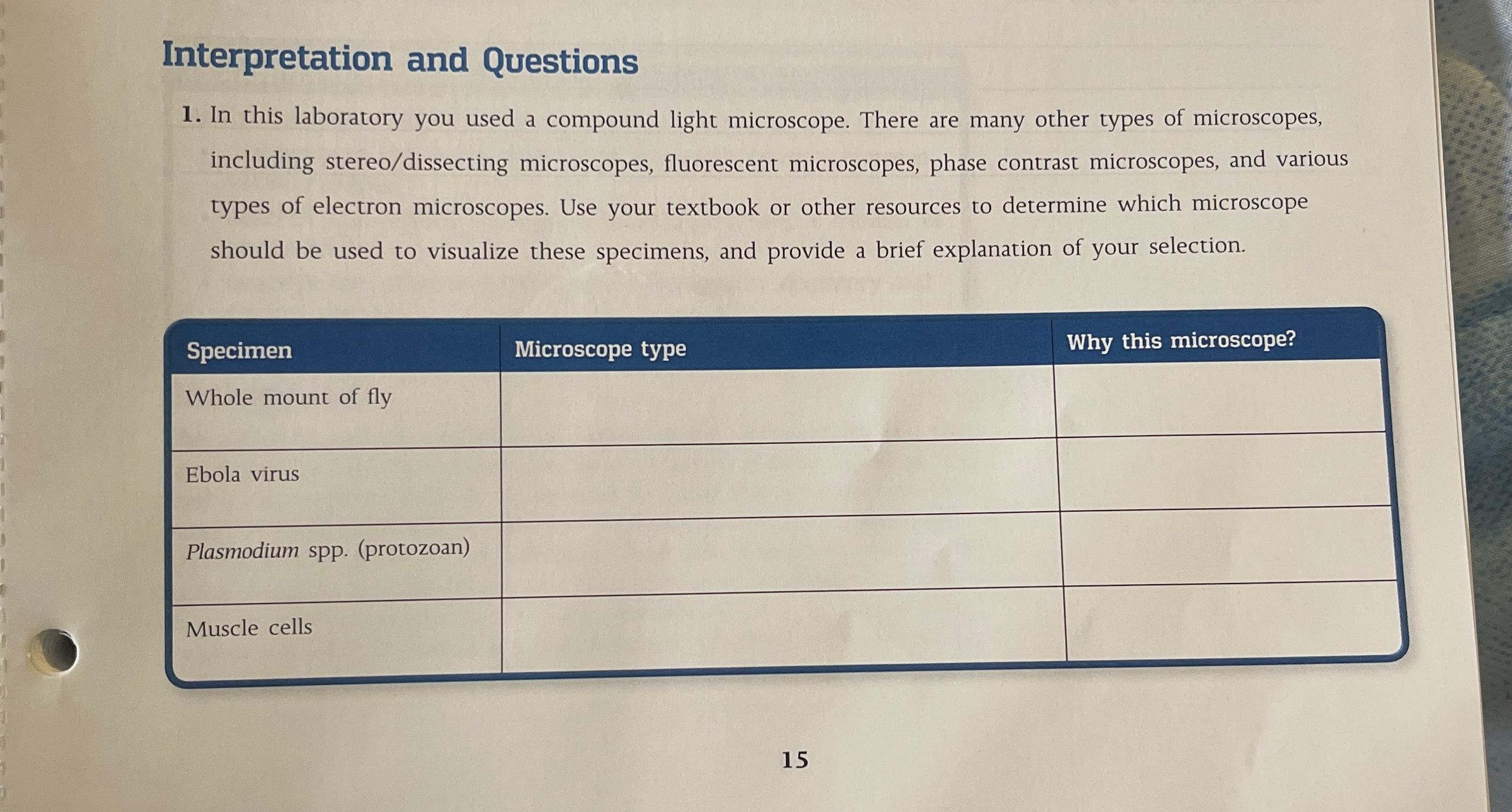 Solved Interpretation and QuestionsIn this laboratory you | Chegg.com