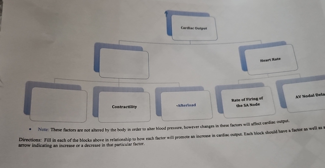 Solved Cardiac OutputHeart RateContractility-AfterloadRate | Chegg.com