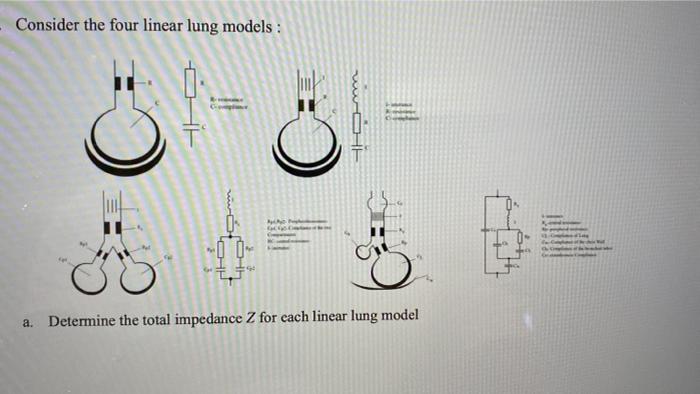 Solved Consider the four linear lung models : wa a. | Chegg.com