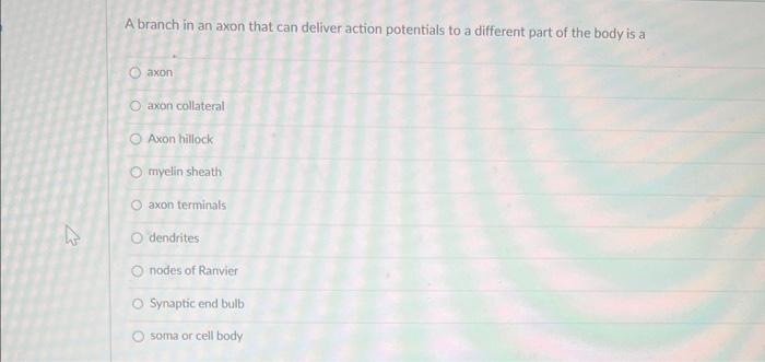 Solved A branch in an axon that can deliver action | Chegg.com