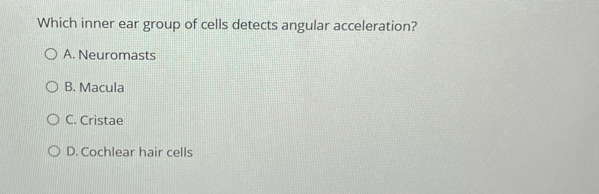 Solved Which inner ear group of cells detects angular | Chegg.com